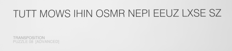 TRANSPOSITION PUZZLE 08【Cypher編】 - Security Akademeia【セキュリティアカデメイア】